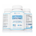 Akkermansia probiotics for digestive health