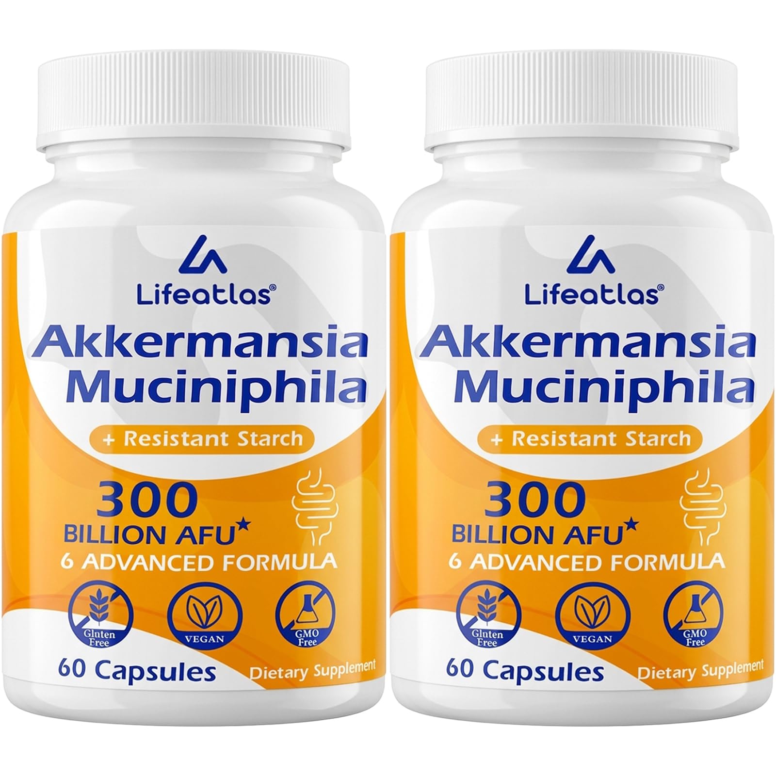 Akkermansia probiotics for gut health