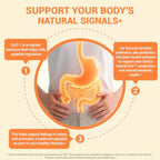 Akkermansia probiotics for liver wellness