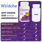 Akkermansia probiotics for overall wellness