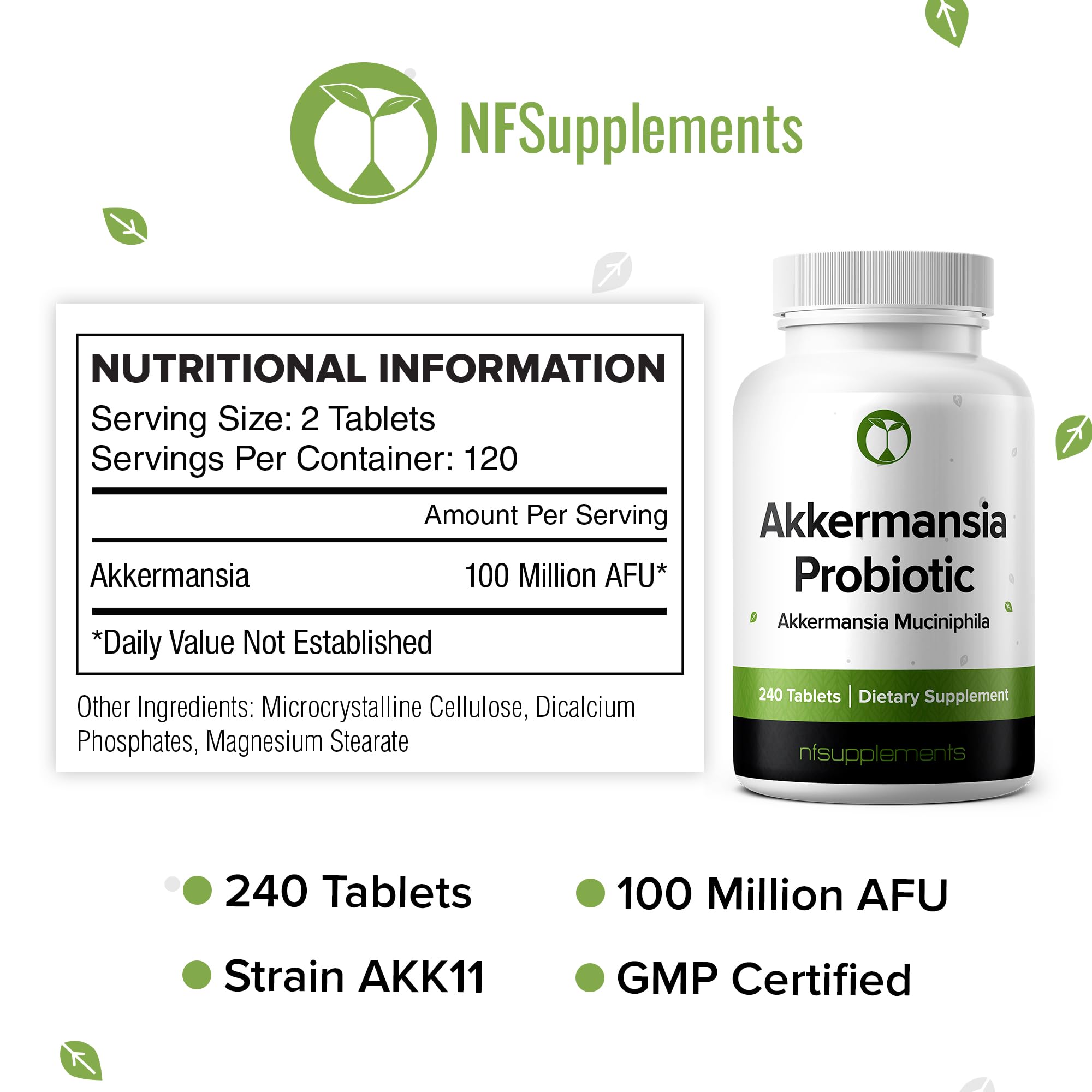 Akkermansia strain for gut lining