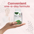 ALA/ALC capsules for athletic performance
