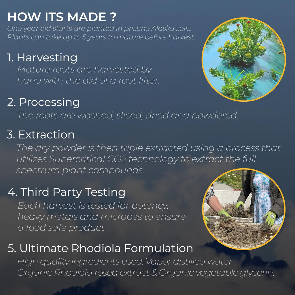 Alaska grown herbal supplements for wellness