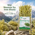 Albanian Mountain Tea rich in antioxidants