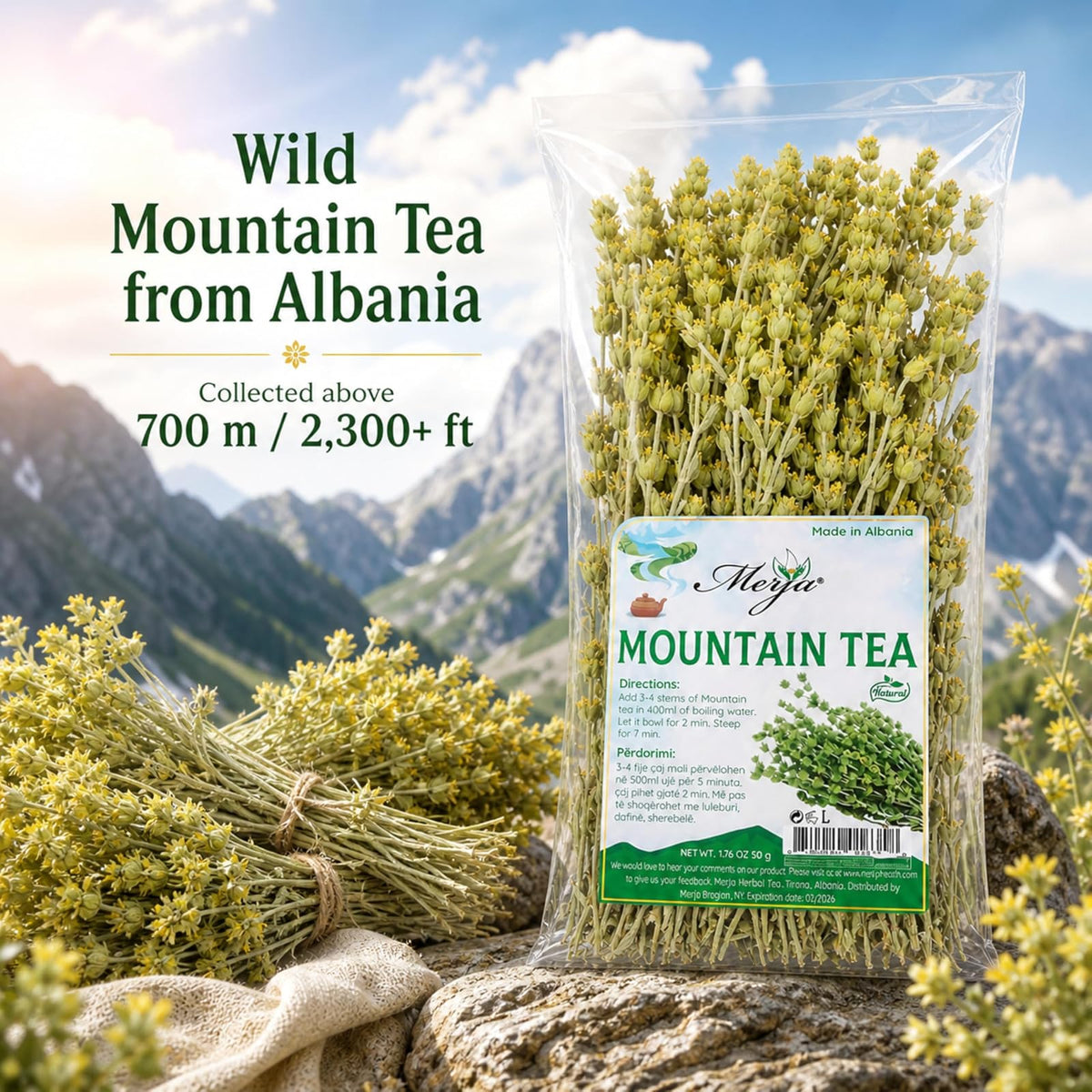 Albanian Mountain Tea rich in antioxidants
