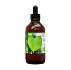 Alchornea Cordifolia Extract health benefits