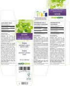 Alcohol-free Bacopa Monnieri extract