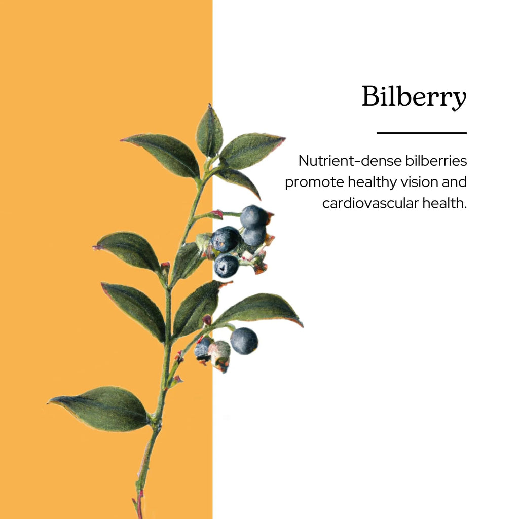 alcohol-free bilberry extract for health