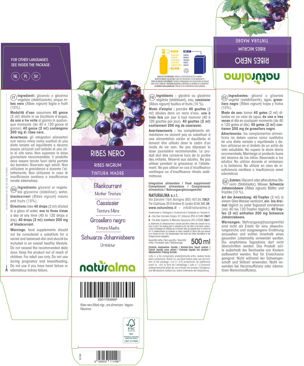 Alcohol-free blackcurrant tincture benefits