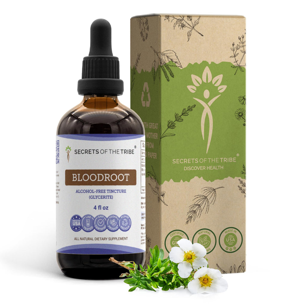 alcohol-free bloodroot tincture extract