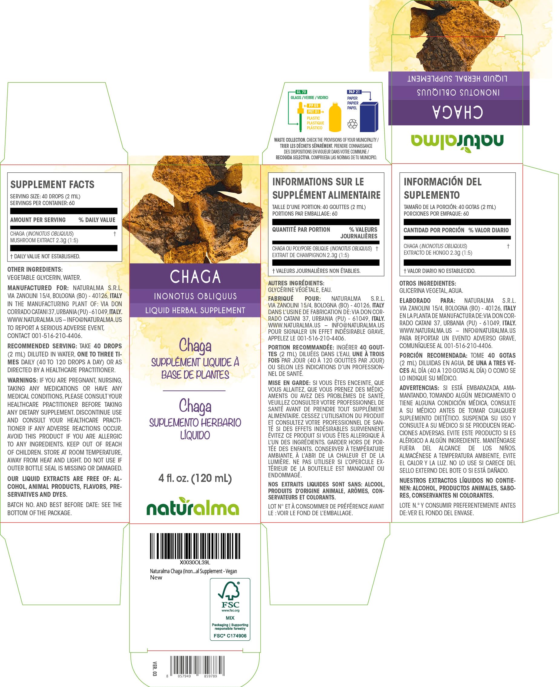 alcohol-free chaga extract benefits