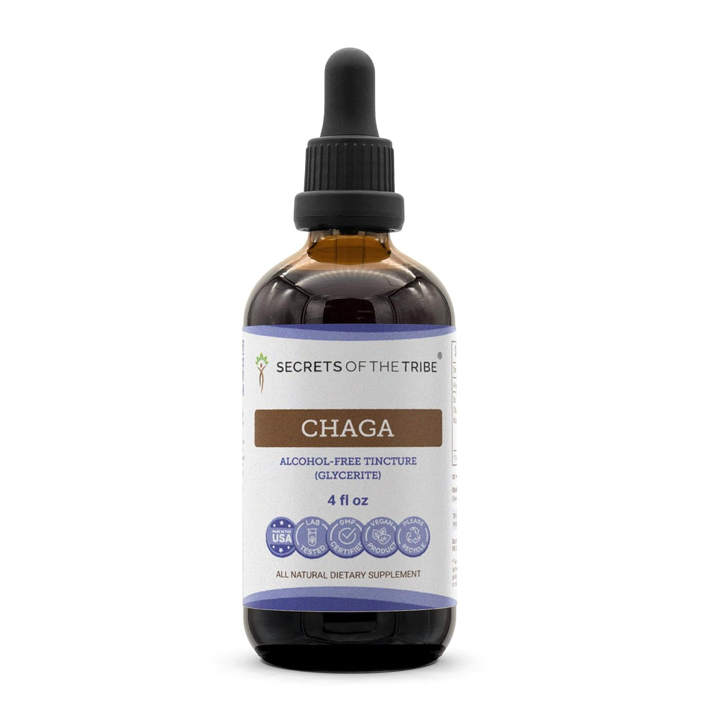alcohol-free chaga tincture extract