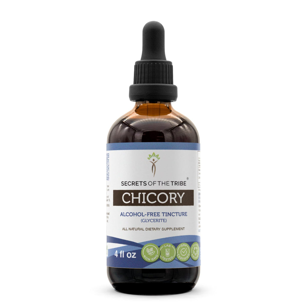 alcohol-free chicory tincture extract