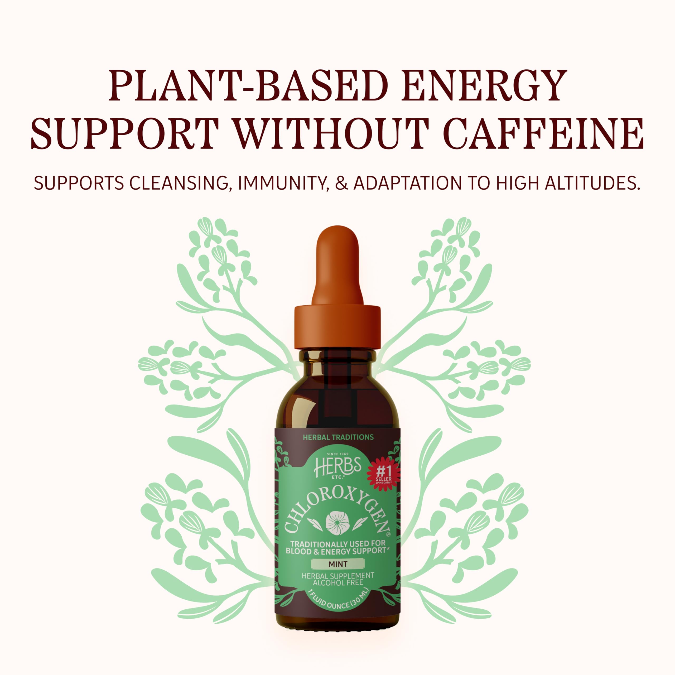 alcohol-free chlorophyll supplement