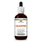 alcohol-free cilantro glycerite extract
