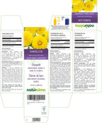 Alcohol-free dandelion herb extract