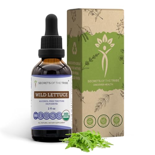 alcohol-free digestion support supplement
