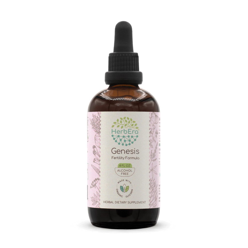 alcohol-free dong quai extract