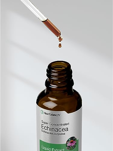 alcohol-free echinacea drops for family use
