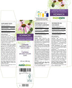 alcohol-free echinacea extract benefits