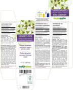 alcohol-free echinacea extract for wellness