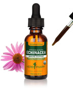 alcohol-free echinacea extract