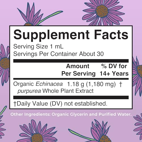 alcohol-free echinacea for daily wellness
