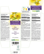 alcohol-free echinacea herbal remedy