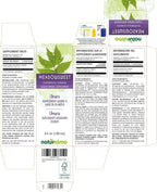 Alcohol-free echinacea herbal remedy