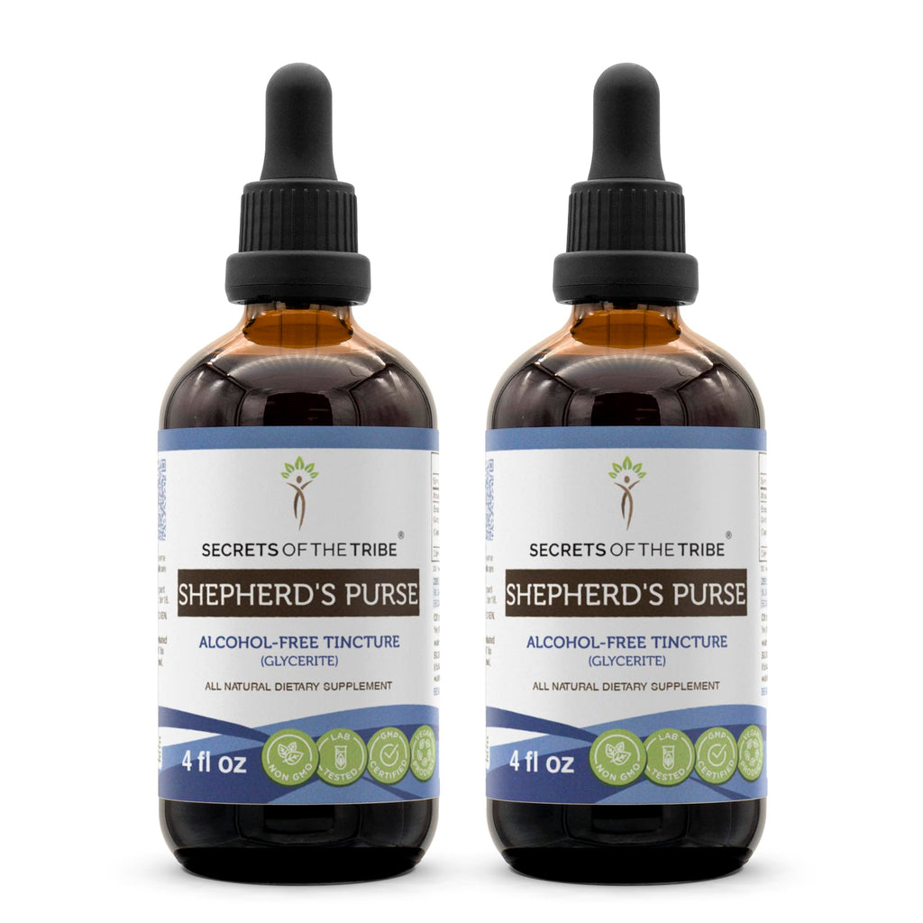 alcohol-free echinacea liquid extract
