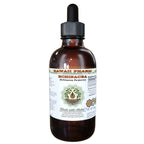 alcohol-free echinacea liquid extract