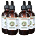 alcohol-free echinacea liquid extract
