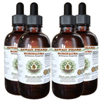 alcohol-free echinacea liquid extract