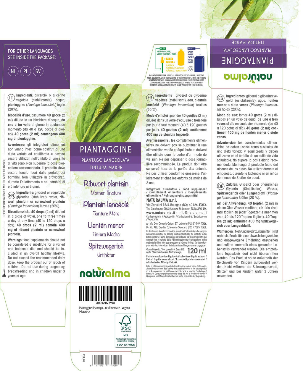 alcohol-free echinacea tincture benefits