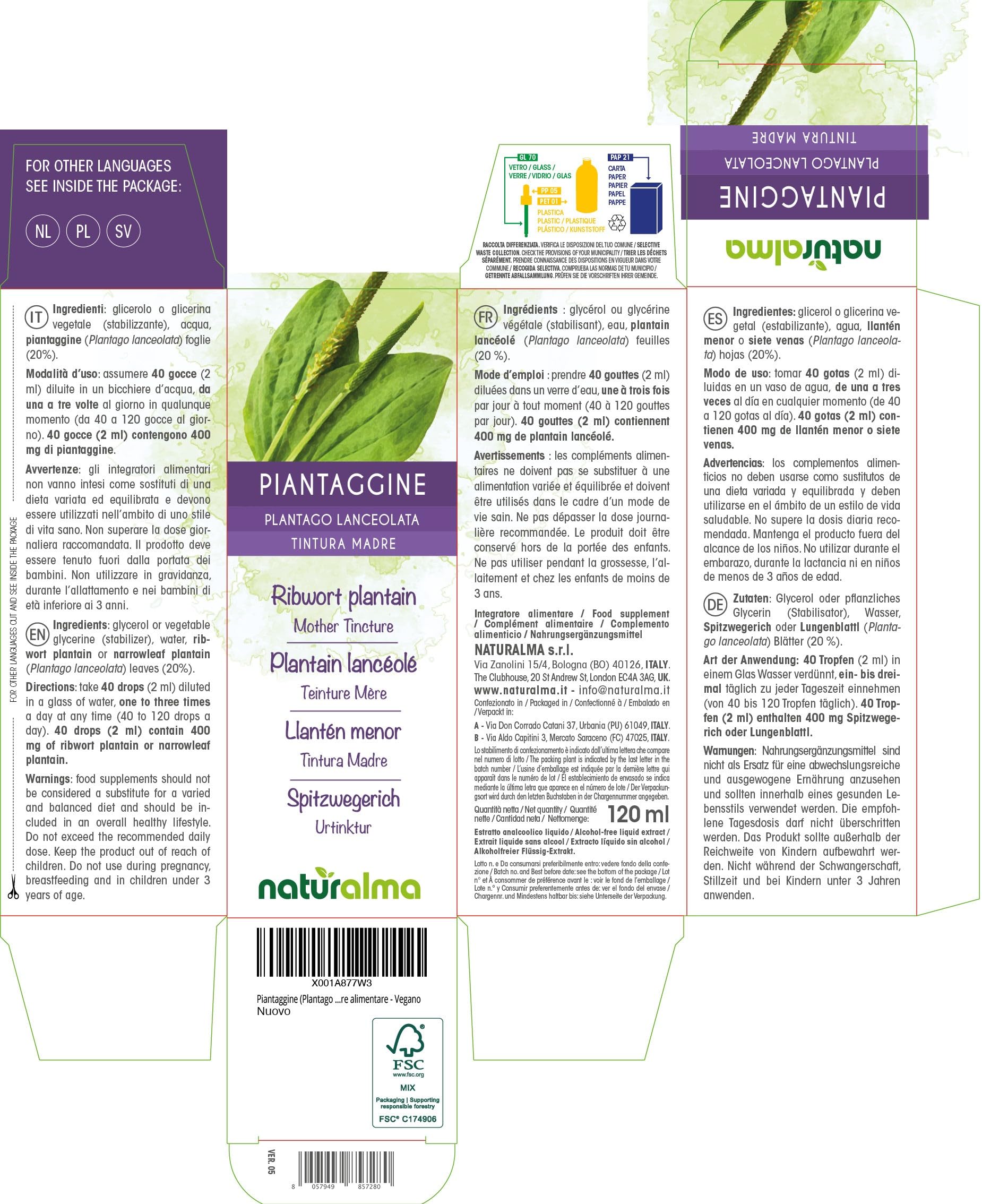 alcohol-free echinacea tincture benefits