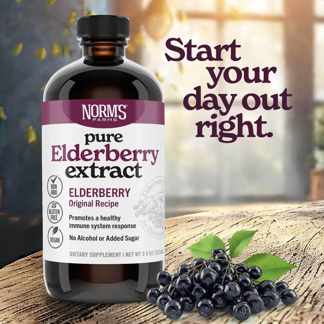 alcohol-free elderberry for sensitive stomachs