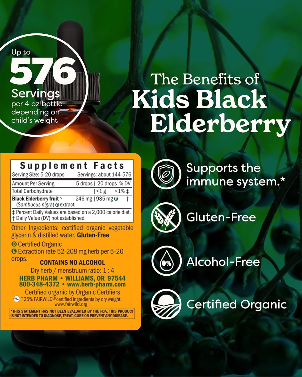alcohol-free elderberry liquid supplement