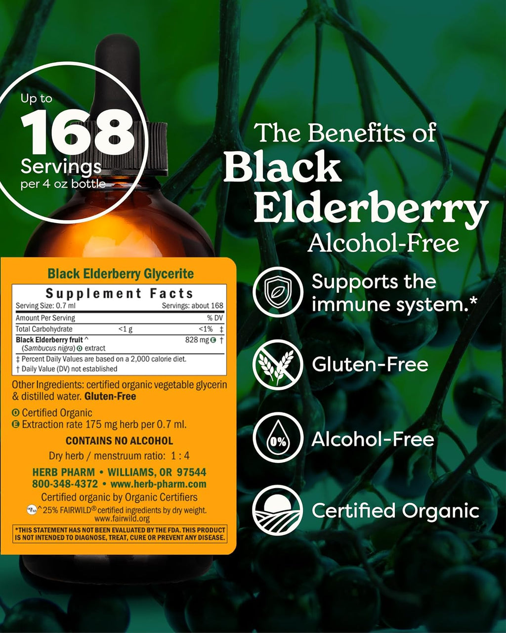 alcohol-free elderberry syrup for wellness
