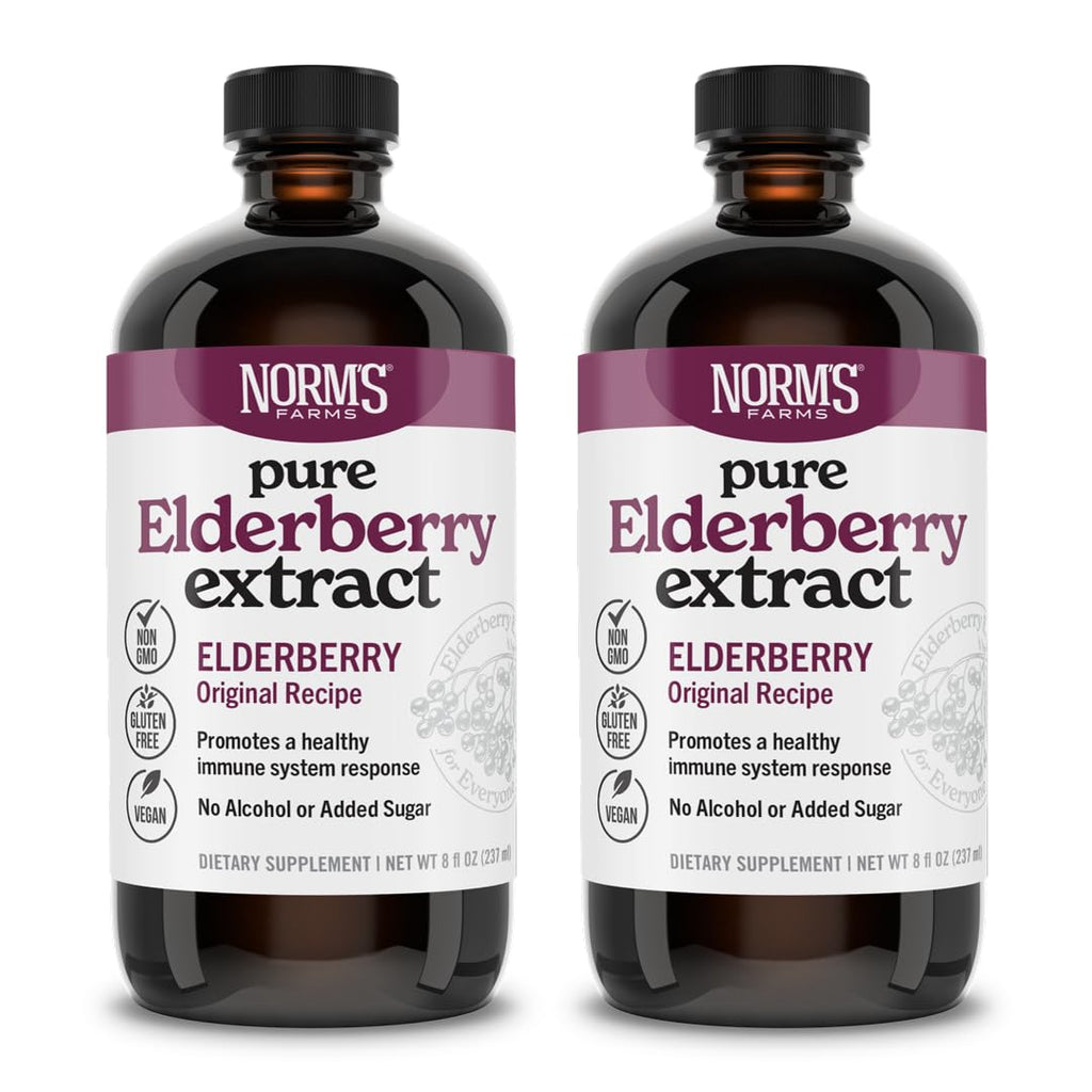 alcohol-free elderberry tincture for wellness