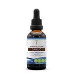 alcohol-free garlic tincture benefits