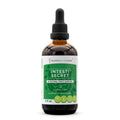 alcohol-free ginger extract benefits