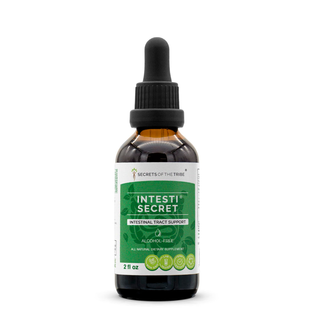 alcohol-free ginger extract for digestion