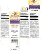 Alcohol-free ginger extract for digestion