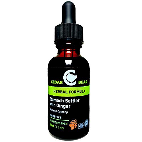 alcohol-free ginger herbal supplement