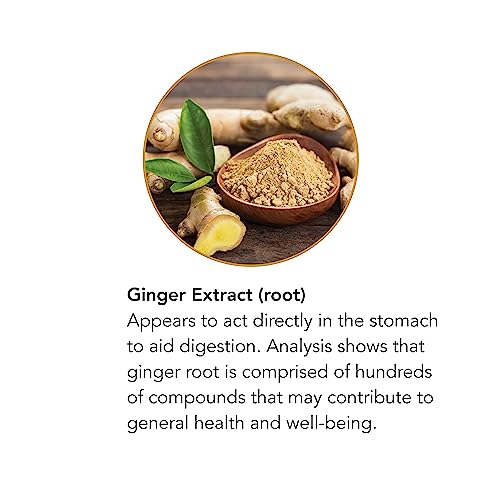 alcohol free ginger liquid extract