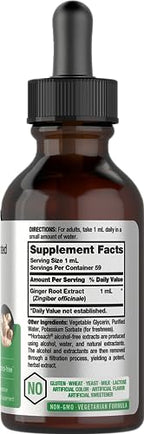 alcohol free ginger root extract