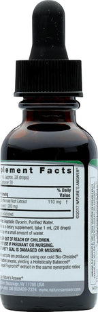 alcohol free ginger root supplement