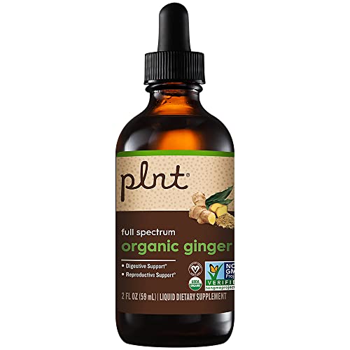 alcohol-free ginger supplement benefits