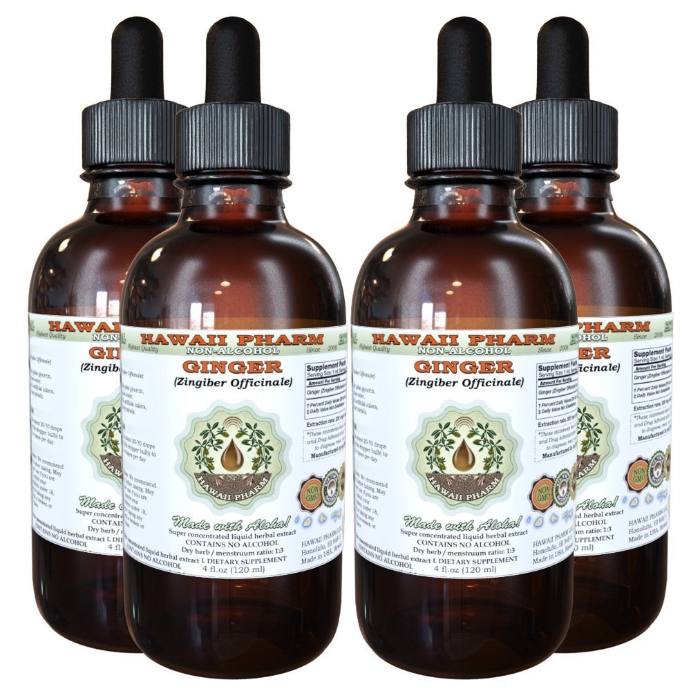 alcohol-free ginger tea extract