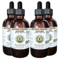 alcohol-free ginger tea extract